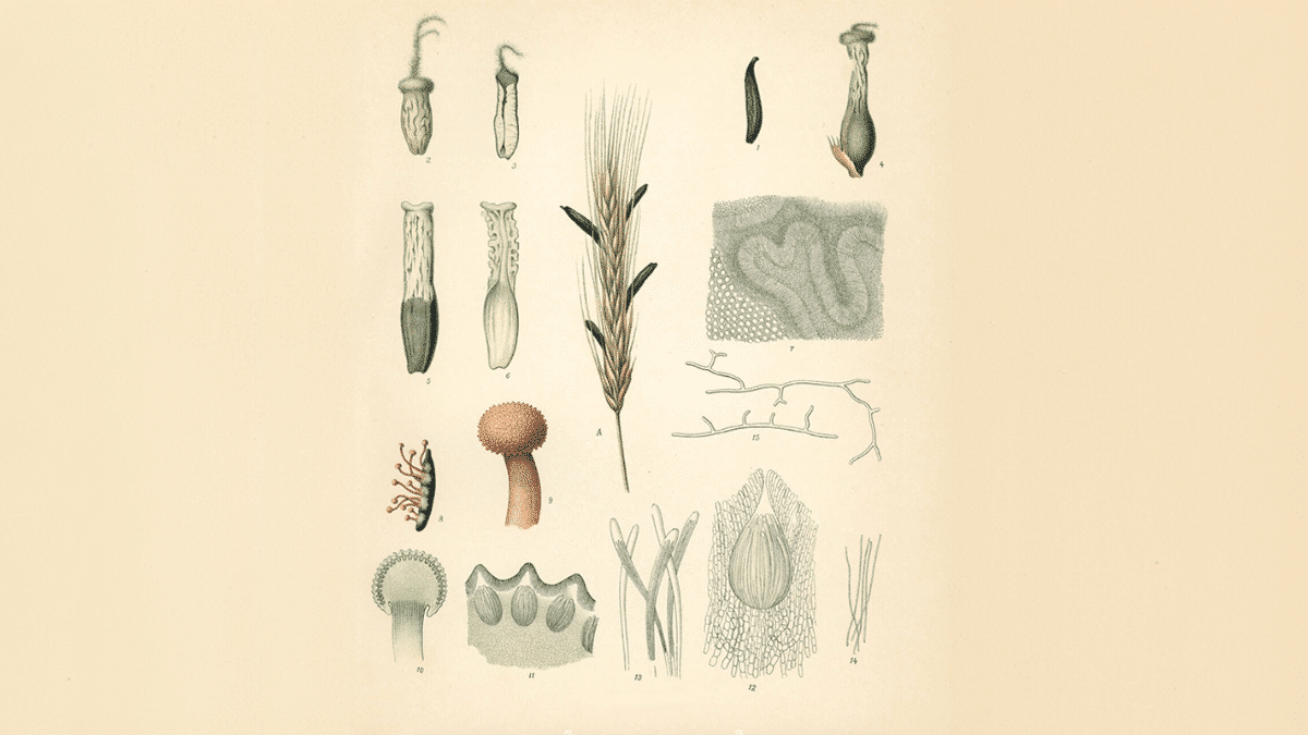 The Fascinating History of Triptans - Migraine Canada