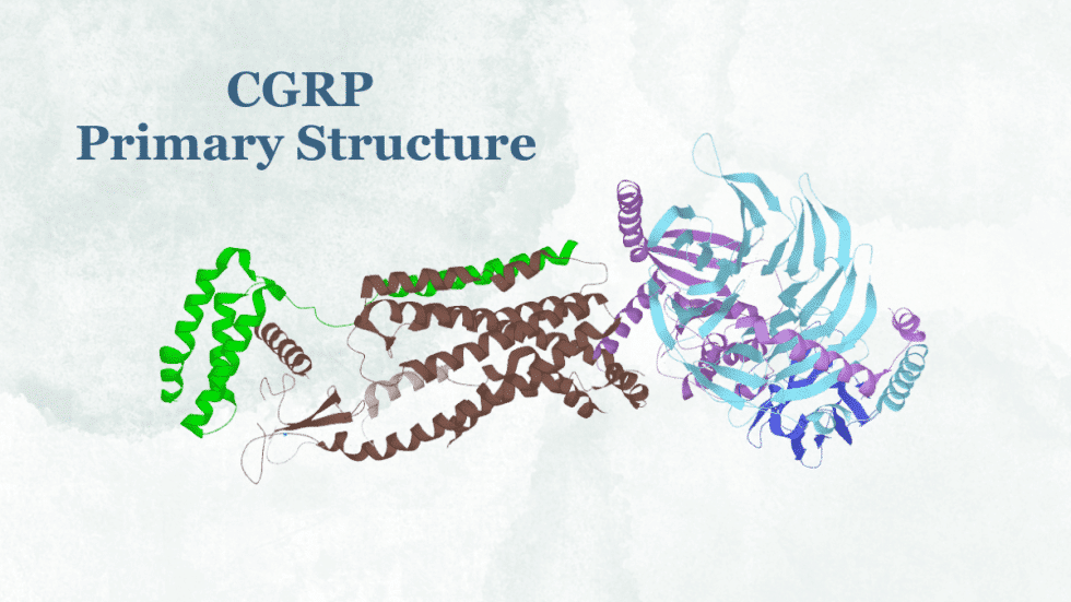 CGRP Monoclonal Antibodies (MABs): Summary and Effectiveness - Migraine ...
